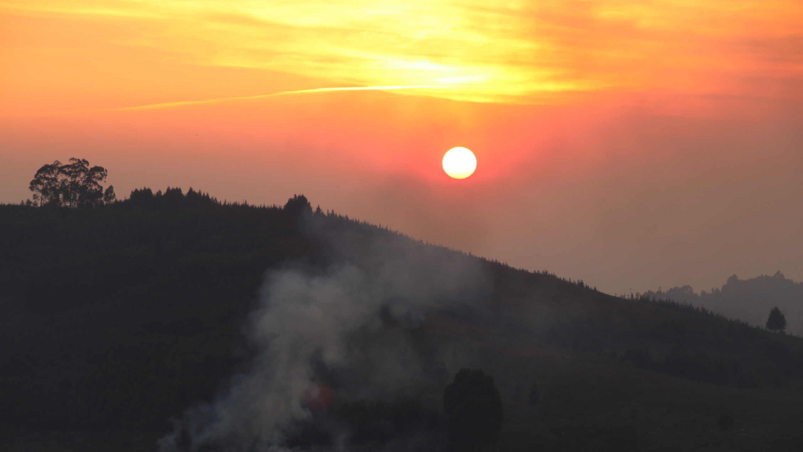 Un nuovo Vescovo per Mapanda - Chiesa di Bologna